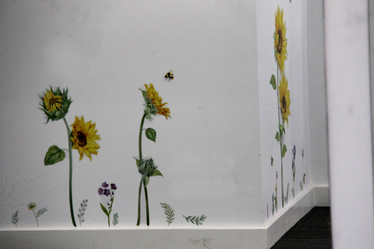 Room Hire – Kanyini Collective